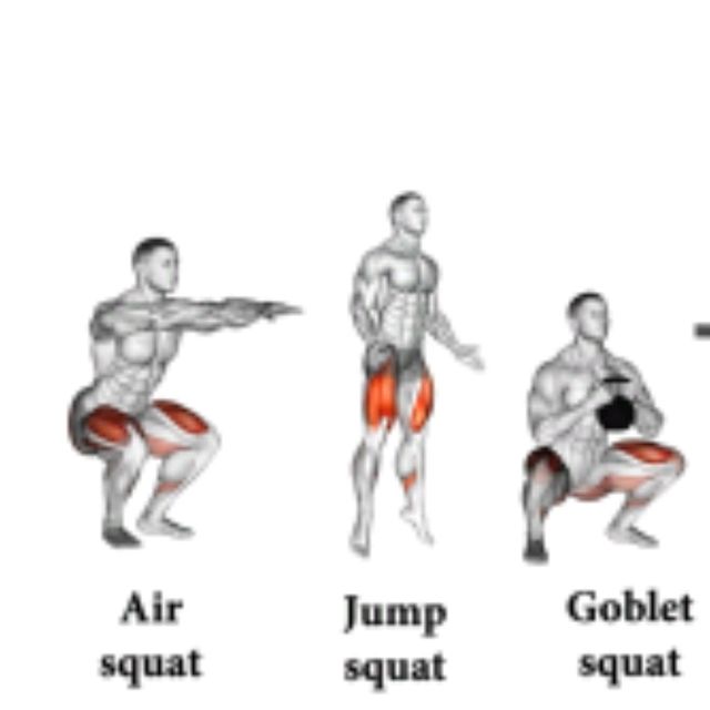 Choose ANY Squat Or Lunge Variation by 𝔻𝕖𝕤𝕖𝕣𝕥 𝔽𝕠𝕩🦊 🌟 - Exercise How-to ...