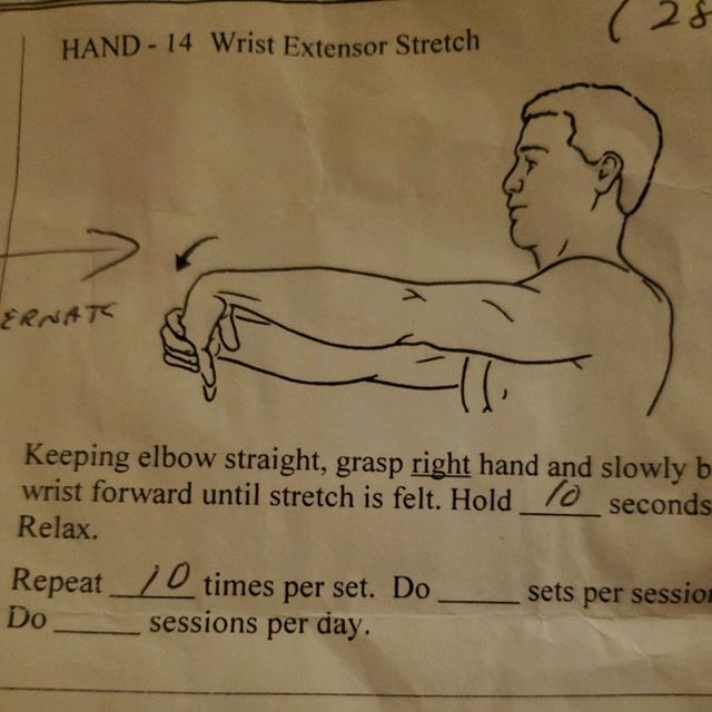 Wrist Extensor Stretch by Sharmil Mckee - Exercise How-to - Skimble