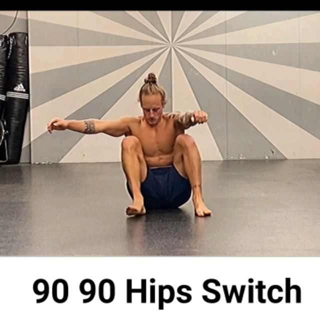 90 90 Hips Switch - Exercise How-to - Workout Trainer by Skimble