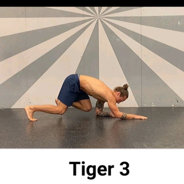 Tiger - Exercise How-to - Workout Trainer by Skimble