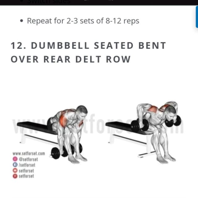 Seated Rear Delt Row by Jake Perry - Exercise How-to - Skimble