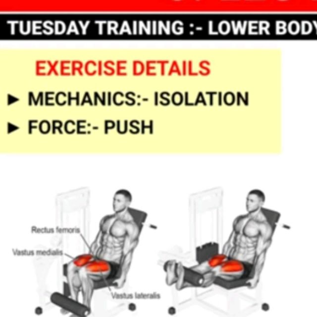 leg ext by Imy F. - Exercise How-to - Skimble Workout Trainer