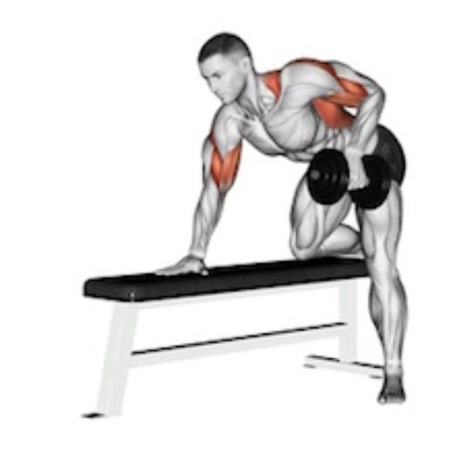 One Arm DB Row by Richard Terry Jr - Exercise How-to - Skimble