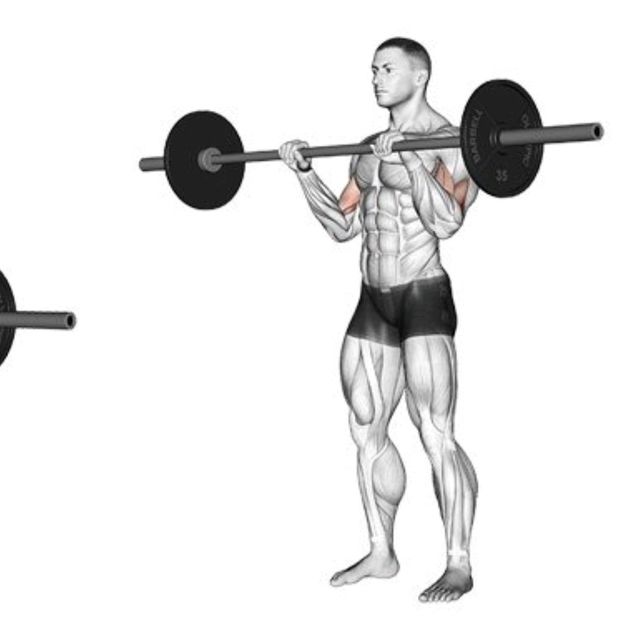 Reverse Grip Barbell Curls by Richard Terry Jr - Exercise How-to - Skimble