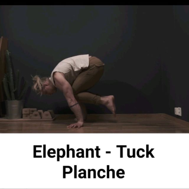 Elephant- Tuck planche by Alex 🌊. - Exercise How-to - Skimble