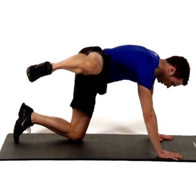 Left Leg Fire Hydrants - Exercise How-to - Workout Trainer by Skimble