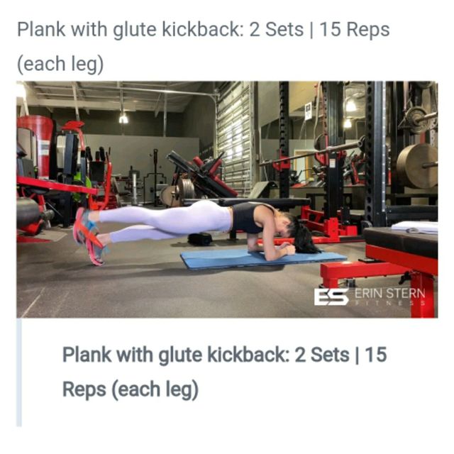 Plank with glute kickback: 2 Sets | 15 Reps (each leg by Corporal K ...