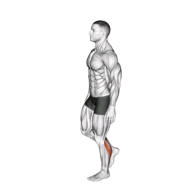 Calf Raise by Richard Terry Jr - Exercise How-to - Skimble
