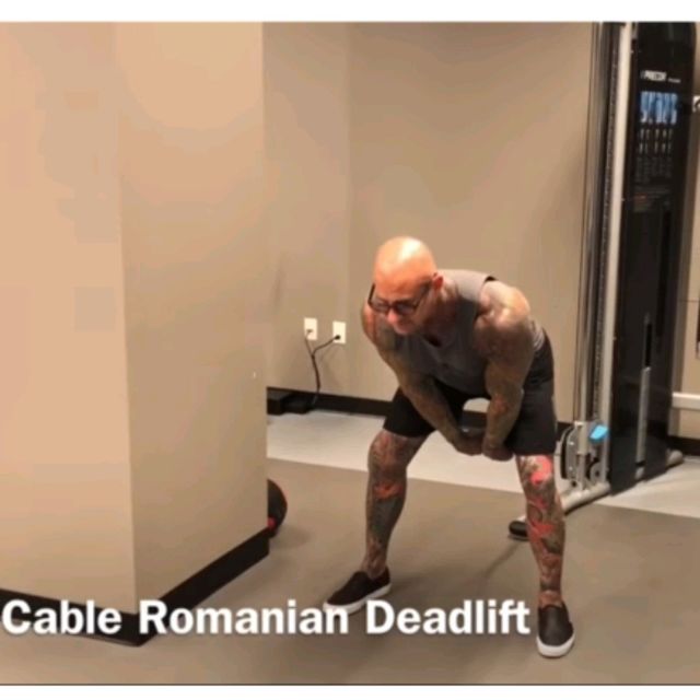 Cable Romanian Deadlifts. by 𝔻𝕖𝕤𝕖𝕣𝕥 𝔽𝕠𝕩🦊 🌟 - Exercise How-to - Skimble