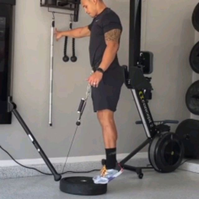 Cable Calf Raises On Weight Plate by 𝔻𝕖𝕤𝕖𝕣𝕥 𝔽𝕠𝕩🦊 🌟 - Exercise How-to ...