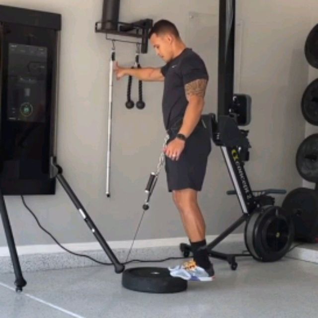 Cable Calf Raises On Weight Plate by 𝔻𝕖𝕤𝕖𝕣𝕥 𝔽𝕠𝕩🦊 🌟 - Exercise How-to ...