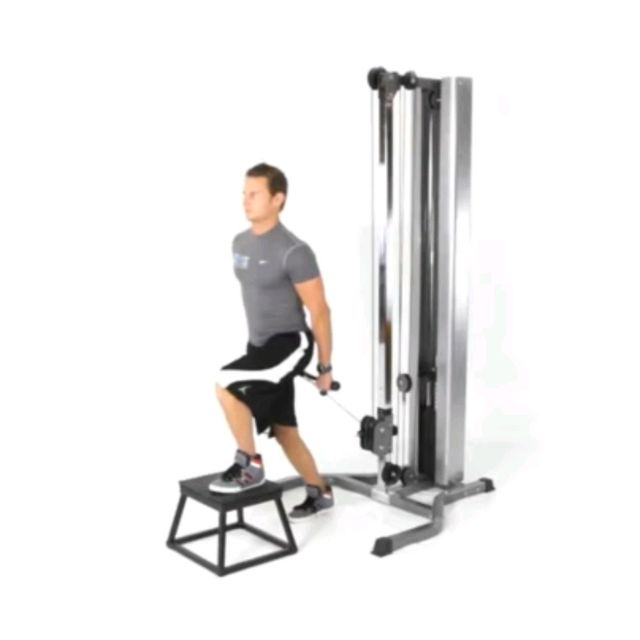 Cable Alternating Step Ups by 𝔻𝕖𝕤𝕖𝕣𝕥 𝔽𝕠𝕩🦊 🌟 - Exercise How-to - Skimble