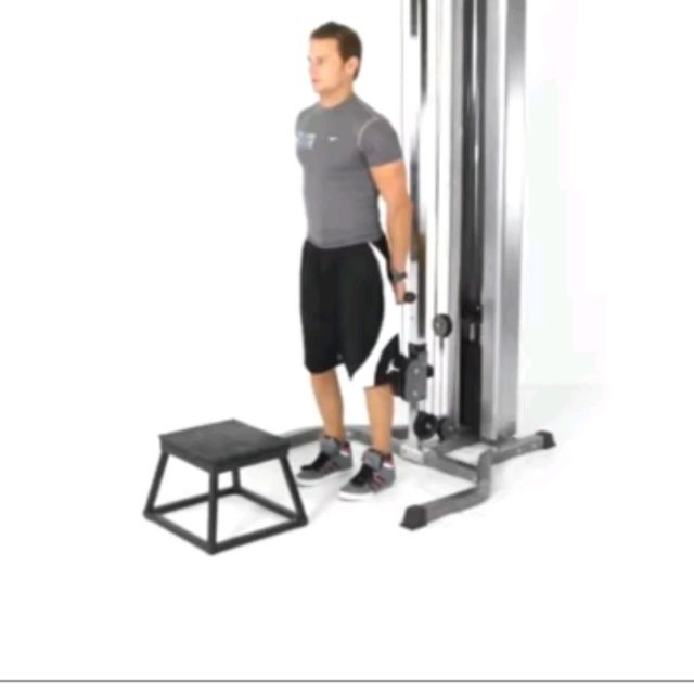 Cable Alternating Step Ups by 𝔻𝕖𝕤𝕖𝕣𝕥 𝔽𝕠𝕩🦊 🌟 - Exercise How-to - Skimble