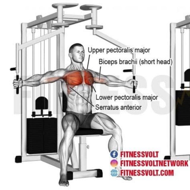 Machine Fly by Mark Merlino - Exercise How-to - Skimble
