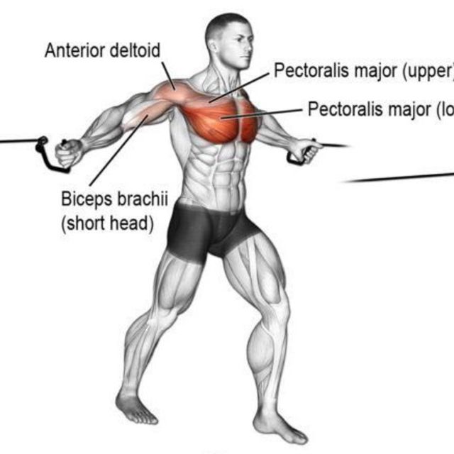 Standing Cable Flies by G S. - Exercise How-to - Skimble