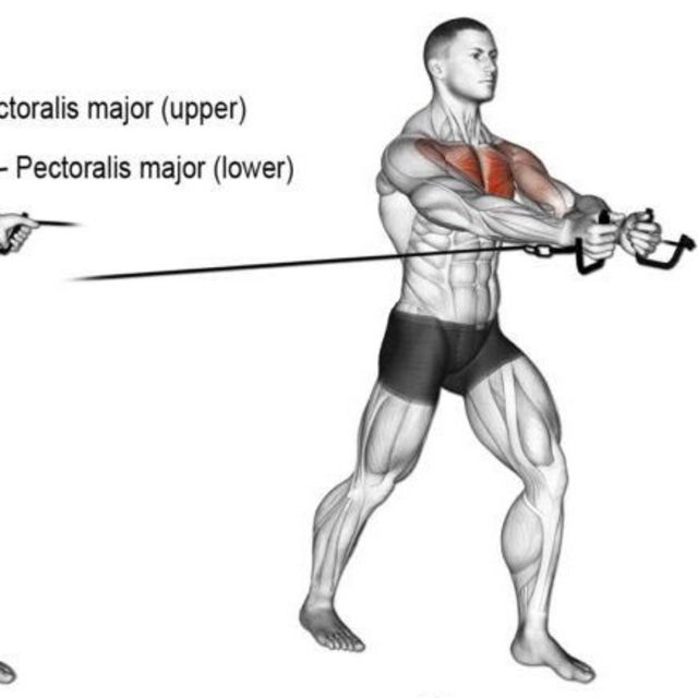 Standing Cable Flies by G S. - Exercise How-to - Skimble