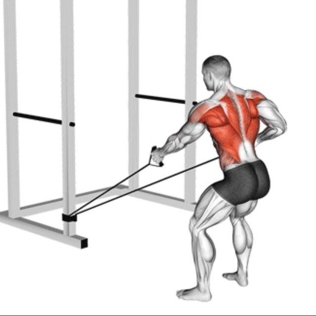 ALTERNATING LOW ROW WITH TWIST by Jdan Bit - Exercise How-to - Skimble