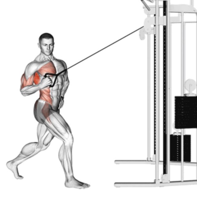 Twist Cable Row by Jdan Bit - Exercise How-to - Skimble