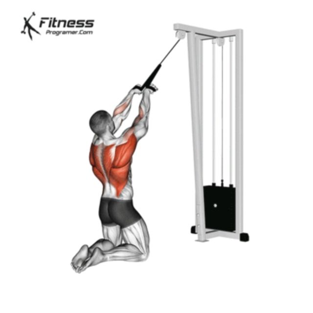 Kneeling High Pulley Row by Jdan Bit - Exercise How-to - Skimble
