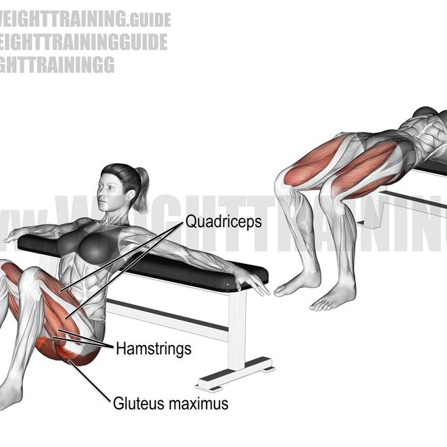 HIP thrust by Krisonthis .. - Exercise How-to - Skimble
