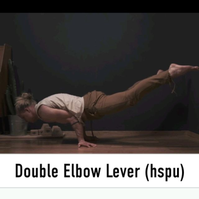 Double Elbow Lever(Hspu) by Alex 🌊. - Exercise How-to - Skimble