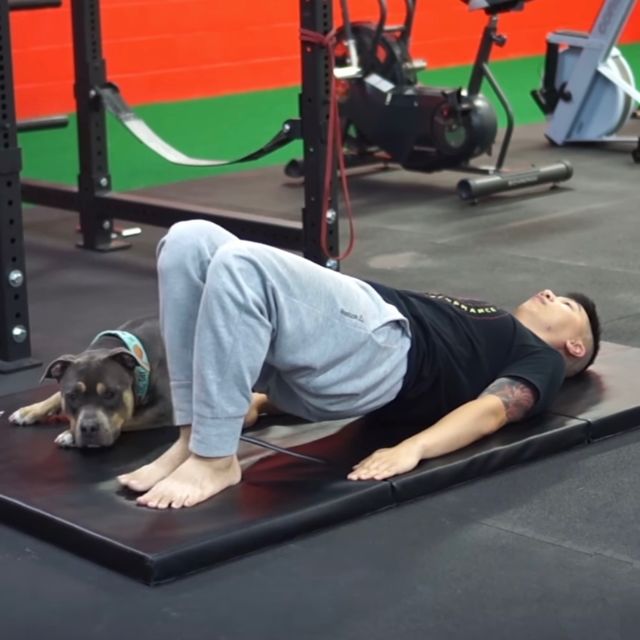 Bridge Alt. Knee Extensions by Ömer Köseoğlu - Exercise How-to - Skimble