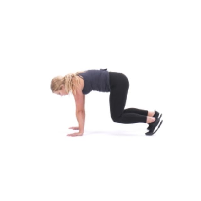 Bear Stance With Knee Tap by Sonya G. - Exercise How-to - Skimble