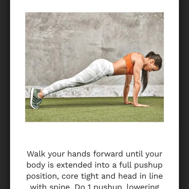 Walkout To Pushup by Sonya G. - Exercise How-to - Skimble