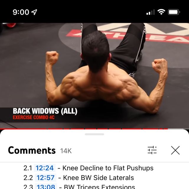 Back Widows by Rabih Haddad - Exercise How-to - Skimble