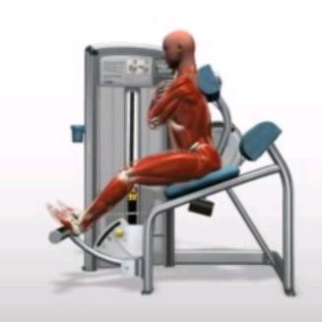 Seated Back Extensions - Exercise How-to - Workout Trainer by Skimble