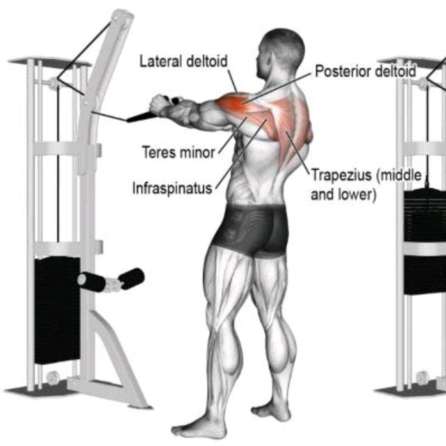 Face-pull by Yvan S. - Comment faire de l'exercice - Skimble