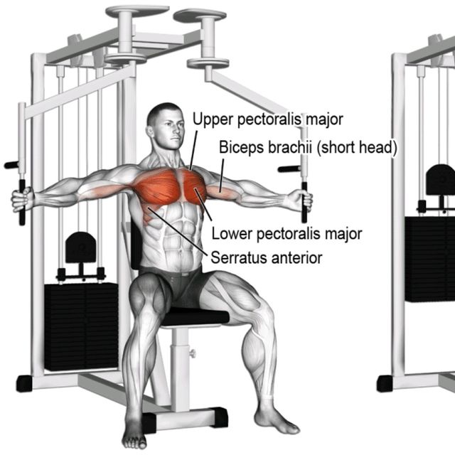 Butterfly by Yvan S. - Comment faire de l'exercice - Skimble