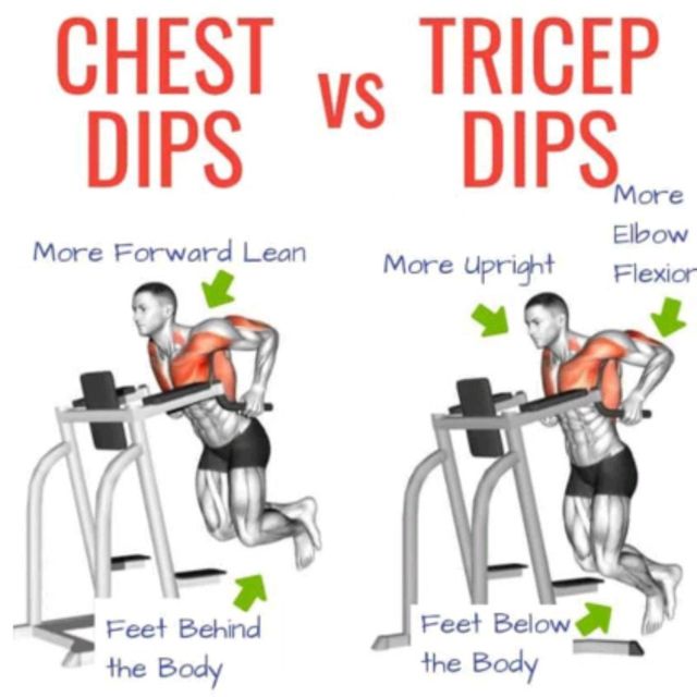Parallel Tricep Dips by Richard Terry Jr - Exercise How-to - Skimble