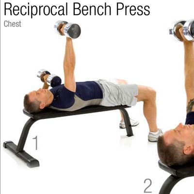 Dumbbell Pullover on Bench - Exercise How-to - Workout Trainer by Skimble