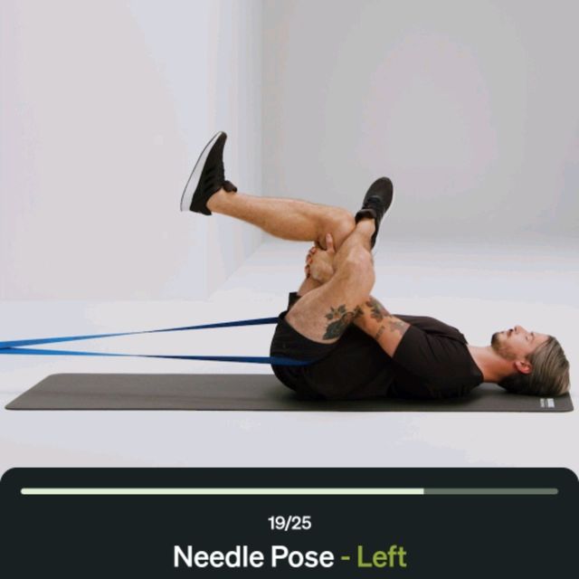 Needle Pose - Left by Rajeswari D. - Exercise How-to - Skimble