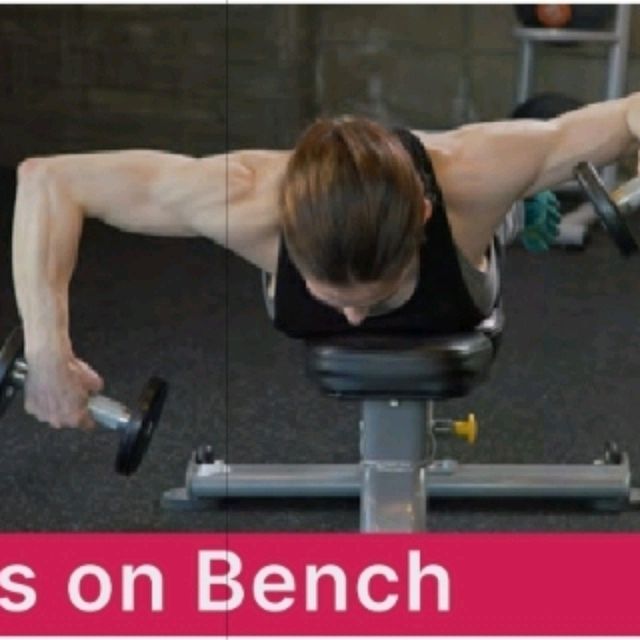 Prone DB Rotations On Bench by Christina H. - Exercise How-to - Skimble
