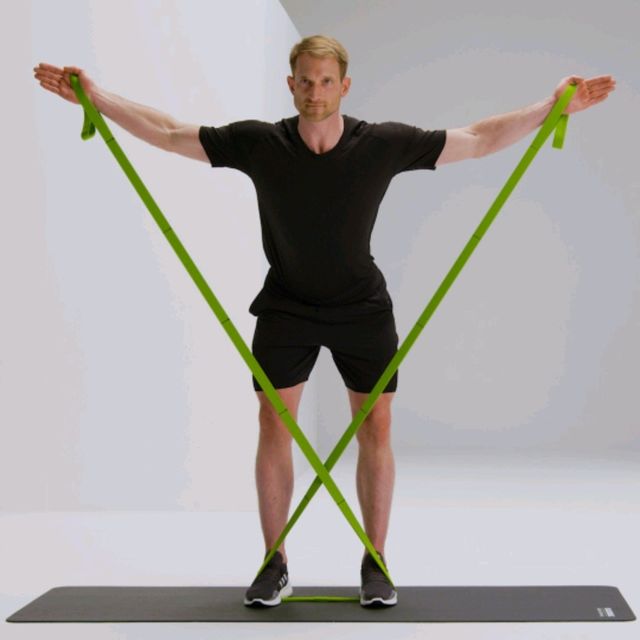 Reverse Fly With Band 2 - Exercise How-to - Workout Trainer by Skimble