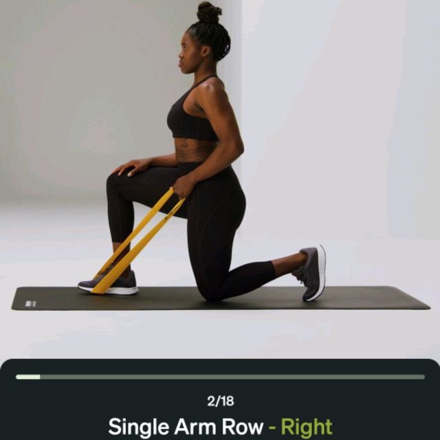 Single Arm Row With Band - Right by Rajeswari D. - Exercise How-to ...