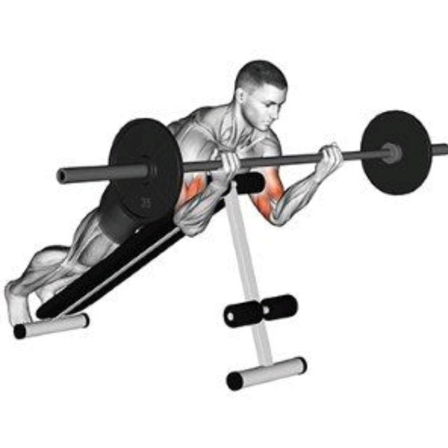 Spider Curl: Barbell by Richard Terry Jr - Exercise How-to - Skimble
