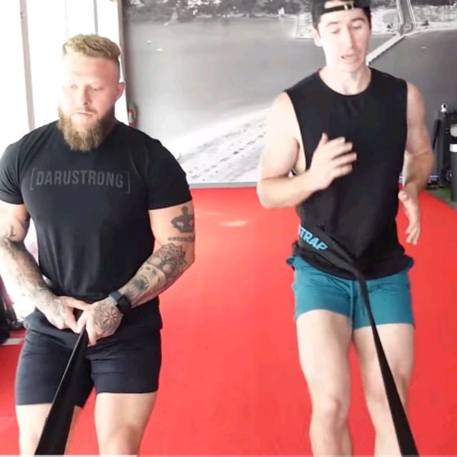 Dog Sled Push N Pull by 𝔻𝕖𝕤𝕖𝕣𝕥 𝔽𝕠𝕩🦊 🌟 - Exercise How-to - Skimble