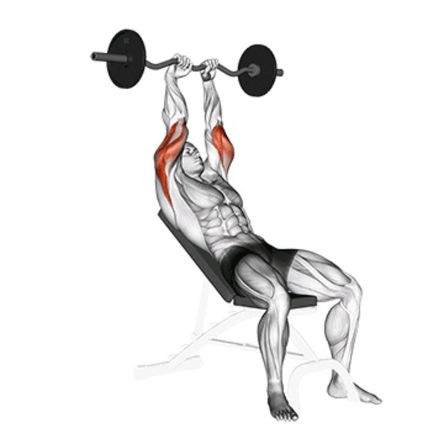 Incline EZ Bar Skull Crushers By Richard Terry Jr Exercise How to Incline EZ Bar Skull Crushers By Richard Terry Jr Exercise How to