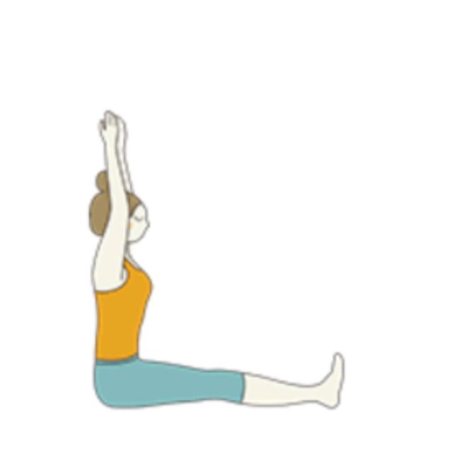 Staff Pose Raised Arms Open Hands by 𝔻𝕖𝕤𝕖𝕣𝕥 𝔽𝕠𝕩🦊 🌟 - Exercise How-to ...