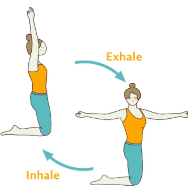 Kneeling Twist Flow by 𝔻𝕖𝕤𝕖𝕣𝕥 𝔽𝕠𝕩🦊 🌟 - Exercise How-to - Skimble