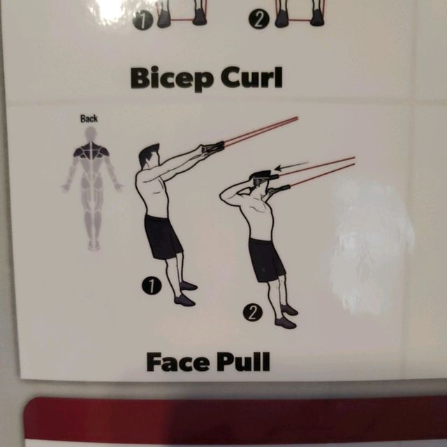 Face Pull by Jake Perry - Exercise How-to - Skimble