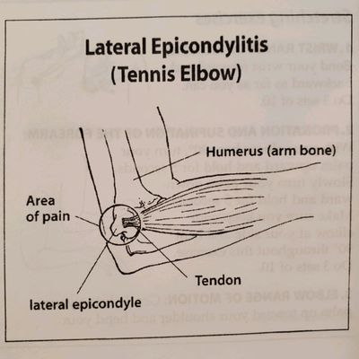 Wrist Extension (With Broom Handle) - Exercise How-to - Skimble