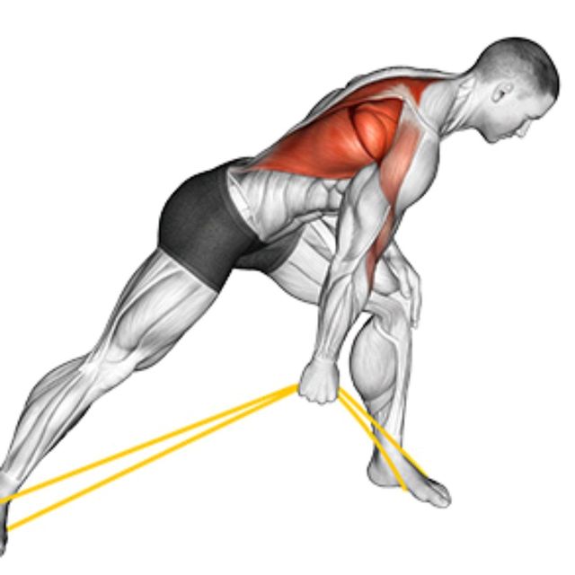 Resistance Band Single Arm Row - Exercise How-to - Workout Trainer by ...