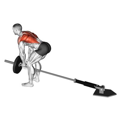 Barbell upright row by Ryan R. - Exercise How-to - Skimble