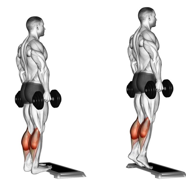 Dumbbell Standing Calf Raises by John Wu - Exercise How-to - Skimble