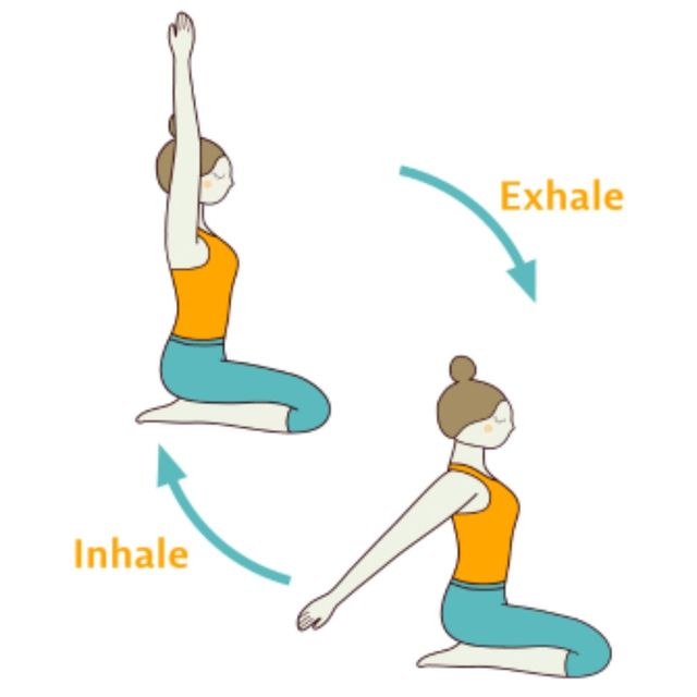 Thunderbolt Arm Rotation by 𝔻𝕖𝕤𝕖𝕣𝕥 𝔽𝕠𝕩🦊 🌟 - Exercise How-to - Skimble