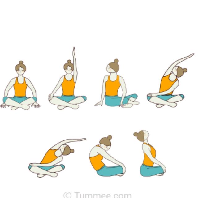 Easy Pose Flow by 𝔻𝕖𝕤𝕖𝕣𝕥 𝔽𝕠𝕩🦊 🌟 - Exercise How-to - Skimble